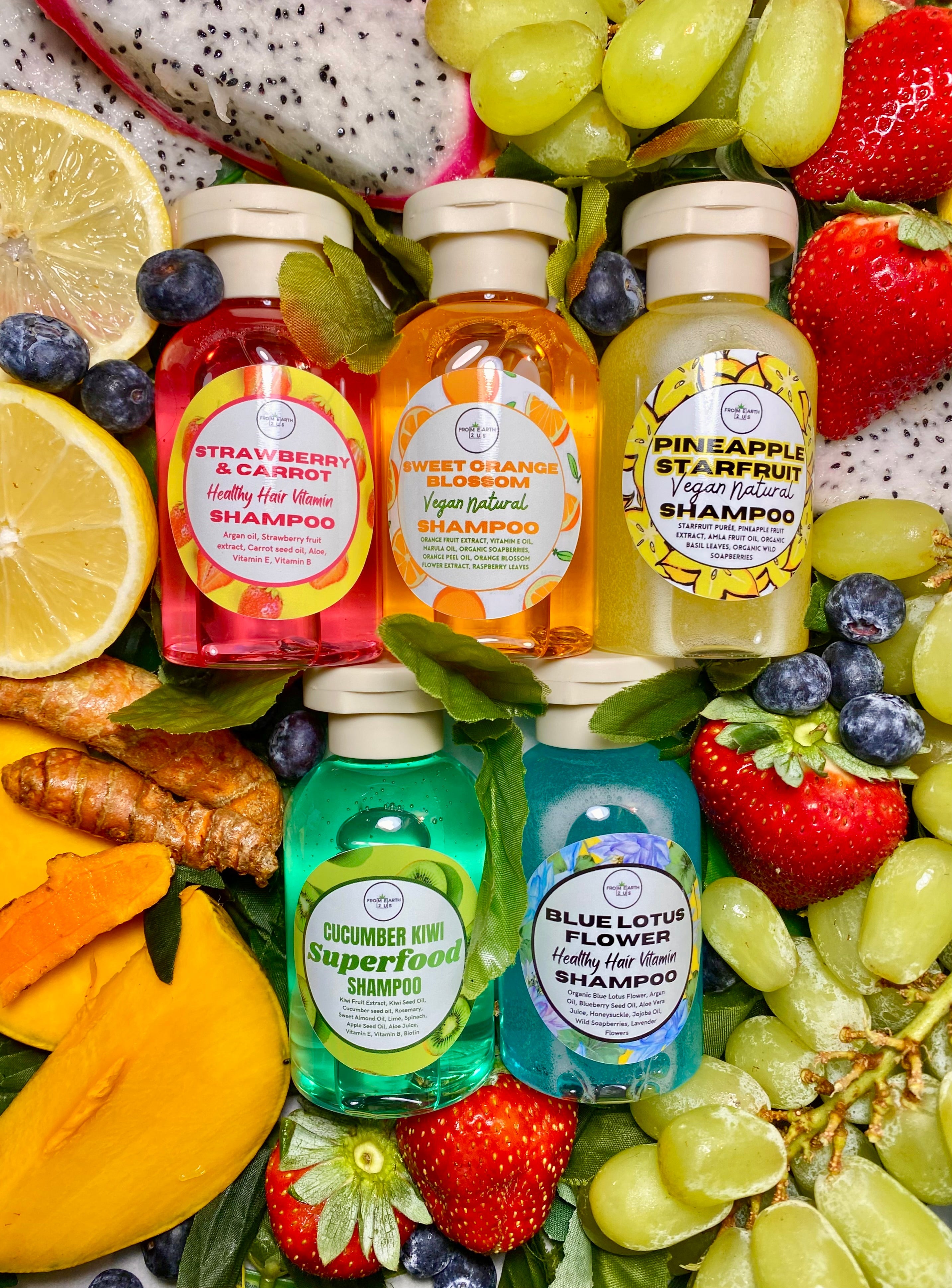 Sample Sizes – FROM EARTH 2 US